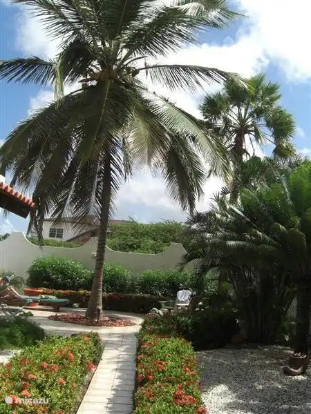 Rent Sabana Basora in Pos Chiquito, Pos Chiquito. | Micazu