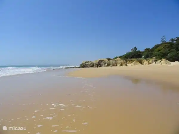 Vitismar - Vale de Parra, Albufeira in Albufeira, Algarve huren? | Micazu