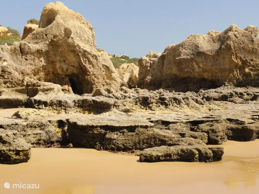 Vitismar - Vale de Parra, Albufeira in Albufeira, Algarve huren? | Micazu