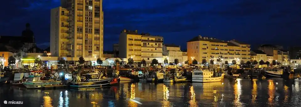Maison-en-France in Château-d'Olonne, Vendée huren? | Micazu