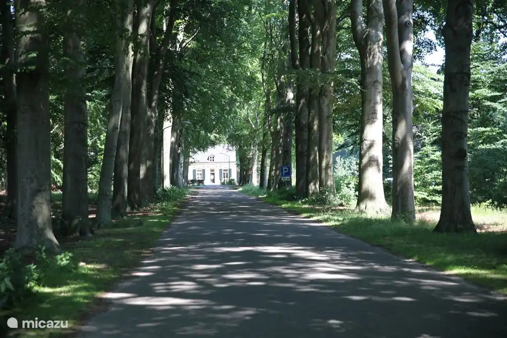 Rent Beum Boswachtershuis in Dorst, North Brabant. | Micazu