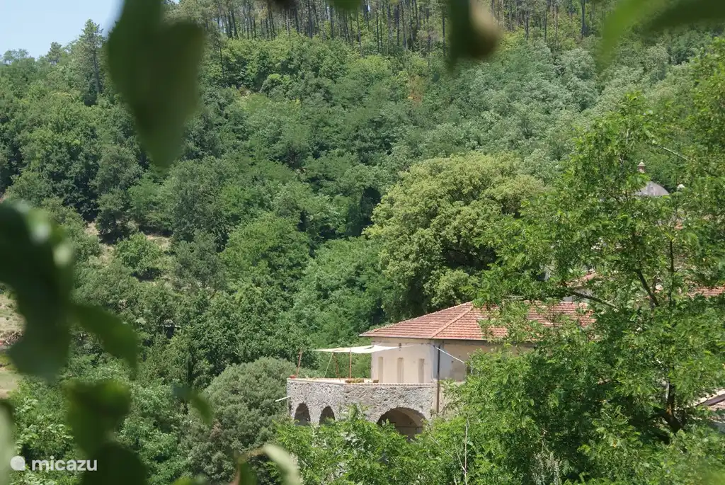 Canonica in Liguria book carefree with | Micazu