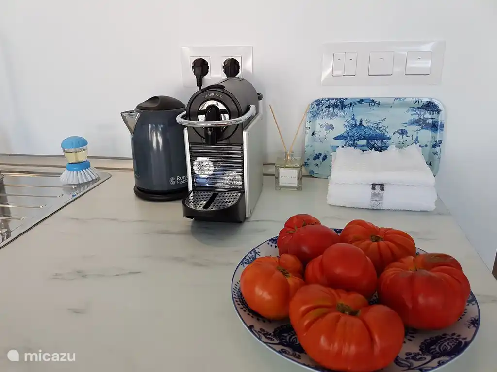 Book your Holiday Home in Costa Blanca, Spain