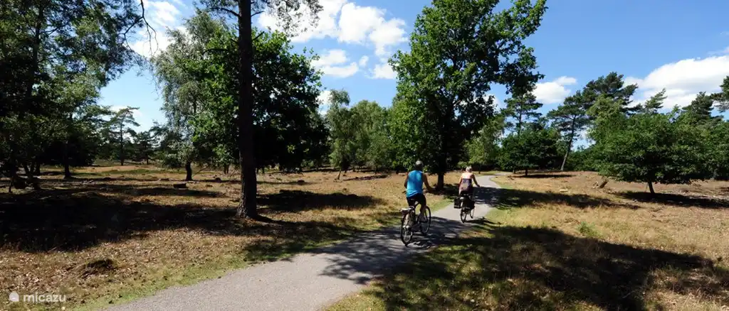 Gastenverblijf Moi in Smilde, Drenthe huren? | Micazu