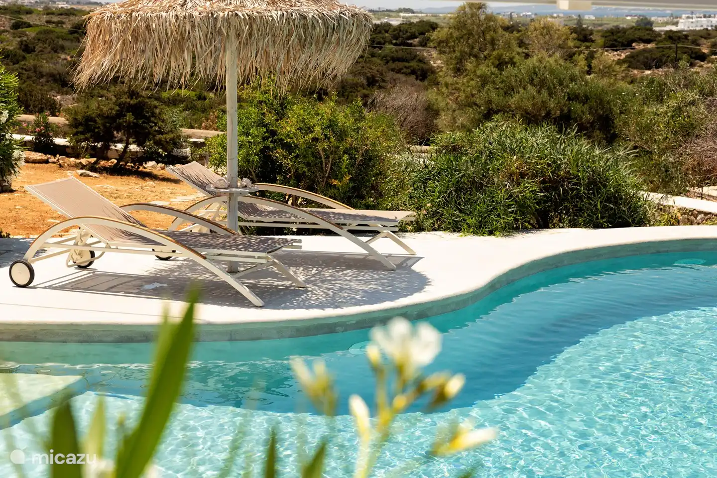 Rent Aegean sea shell in Paros, Cyclades. | Micazu