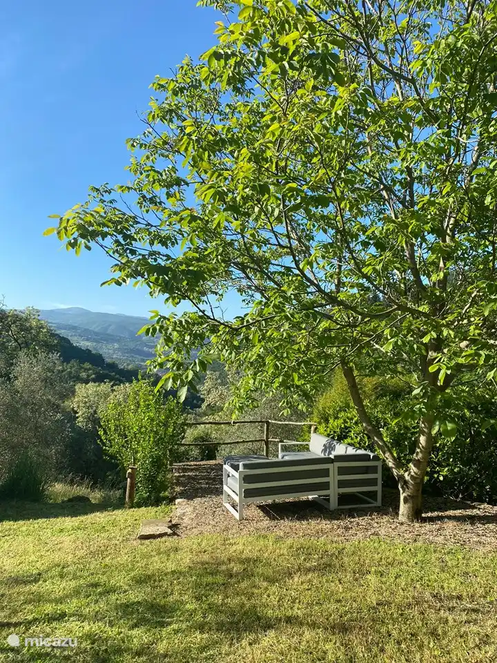 La Casa delle Olive in Pontassieve boek je bij Micazu