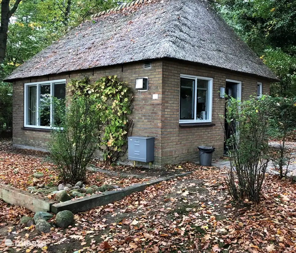 Ferienhaus Die Waldhütte in Oudemirdum, Friesland, Niederlande mieten ...