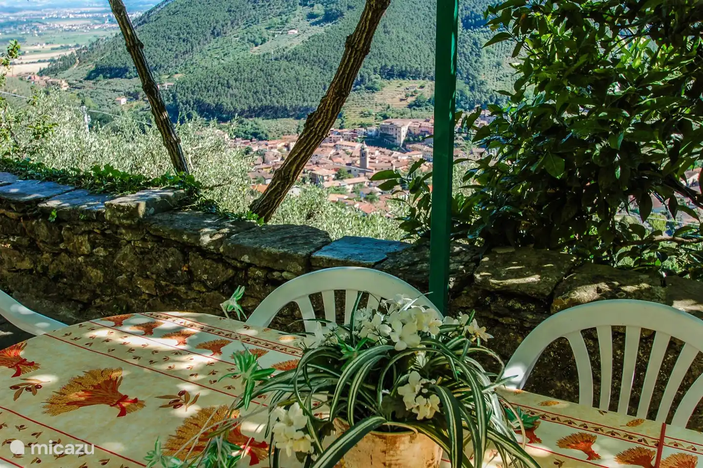 Villa huren in Buti, Toscane? Huis met privé zwembad 40km van zee | Micazu