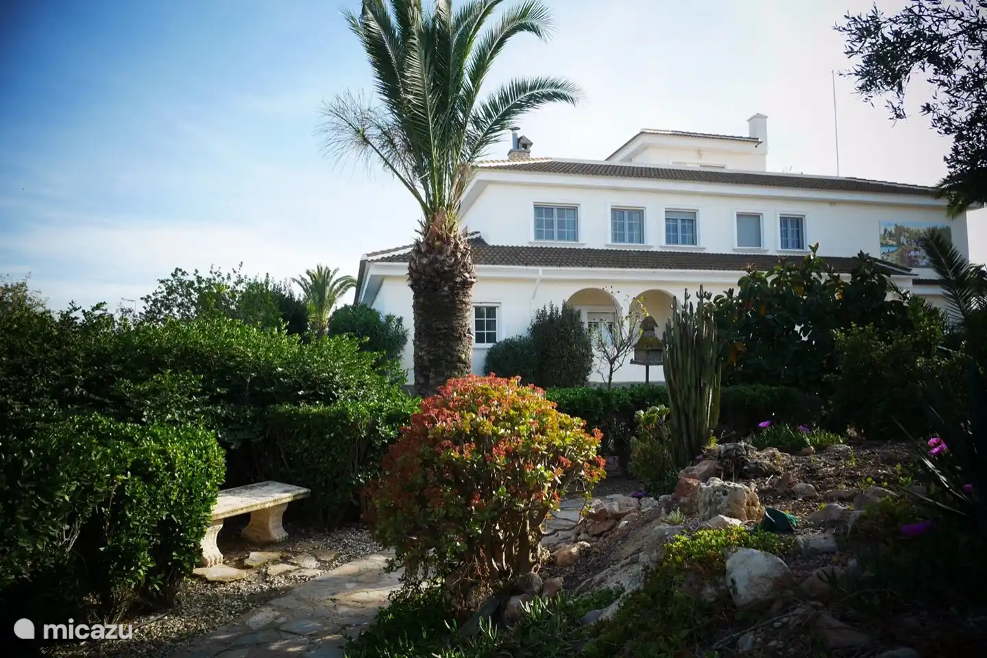 Sueno Espanol (Todo Cambia) mieten Sie bei Micazu | Micazu