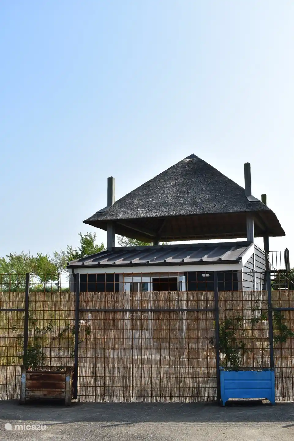 Den Hooimijt in Kats boek je bij Micazu