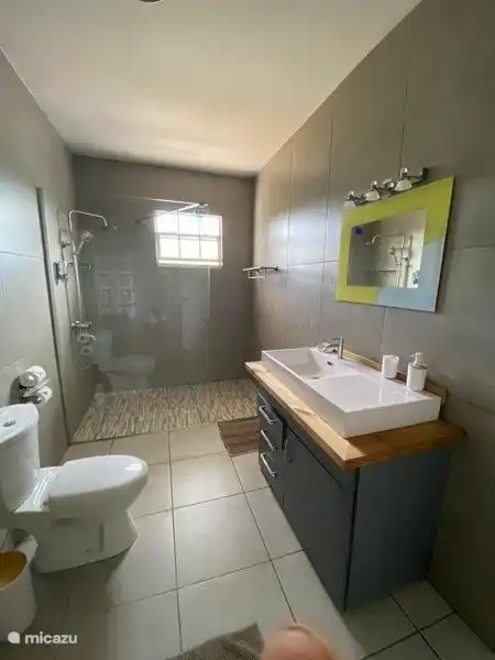 Studio Kalbas boek je bij Micazu | Micazu